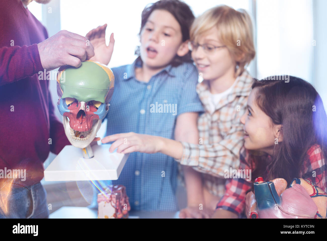 Rising curiosity. Smart experienced nice professor giving a lecture on ...