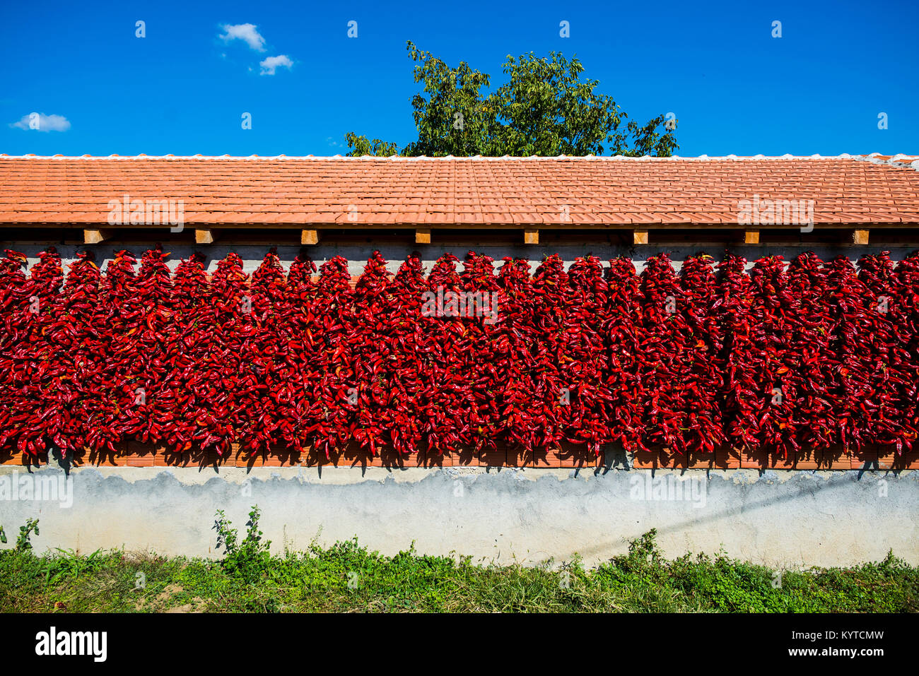 Serbian agriculture hi-res stock photography and images - Alamy
