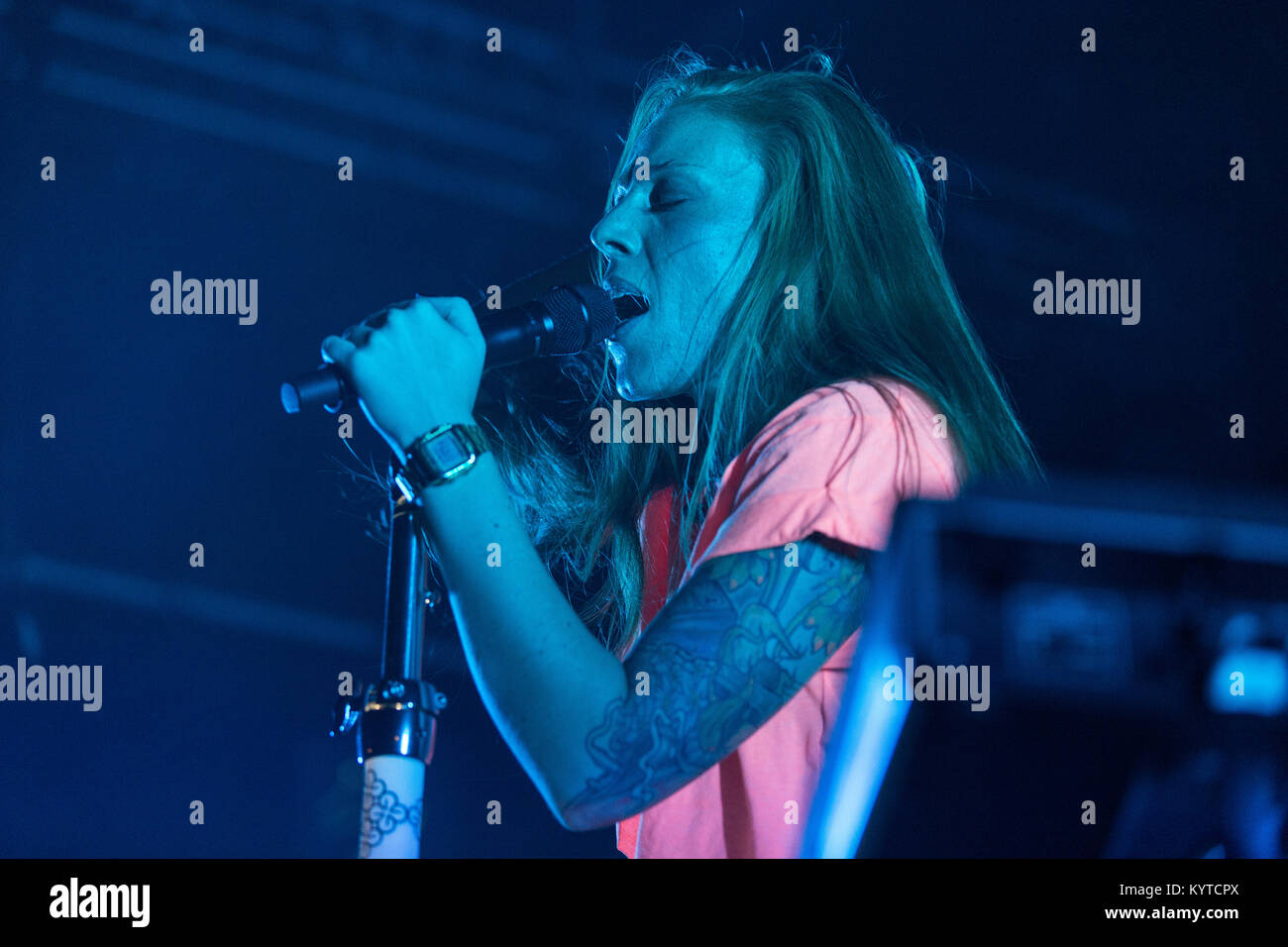 The Norwegian singer, songwriter and musician Gabrielle Susanne Solheim ...