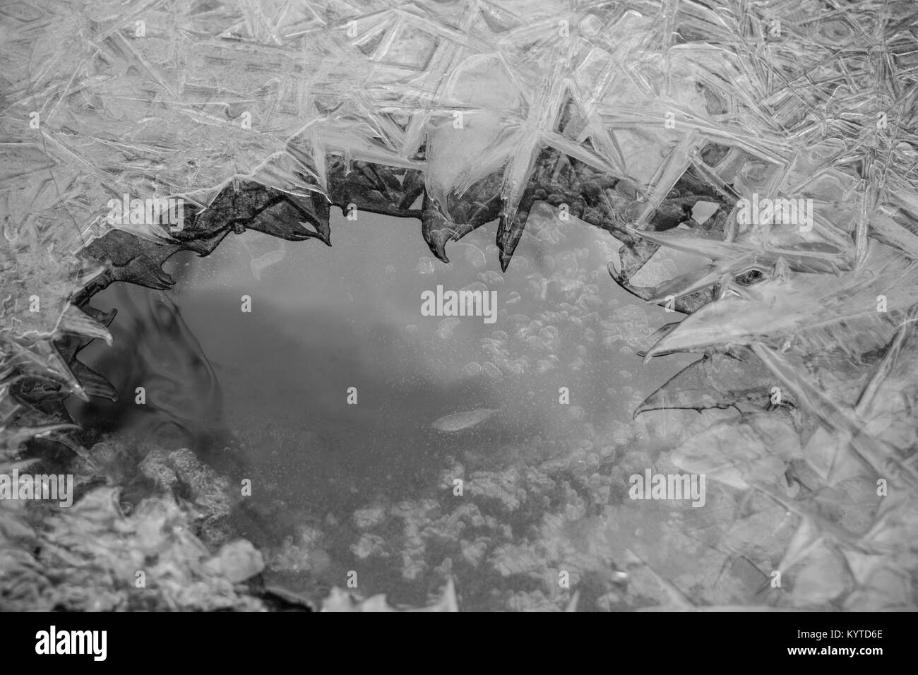 Ice crystal sheets close-ups and reflections on water Stock Photo - Alamy