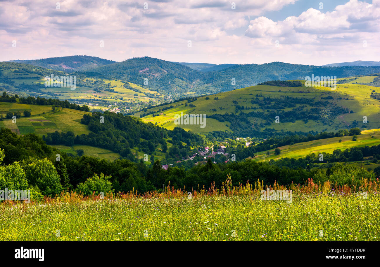 beautiful countryside with grassy fields in summer. Carpathian mountain ...