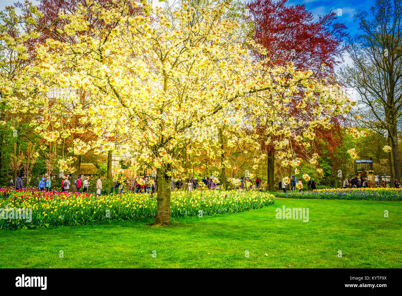 Formal spring garden Stock Photo - Alamy