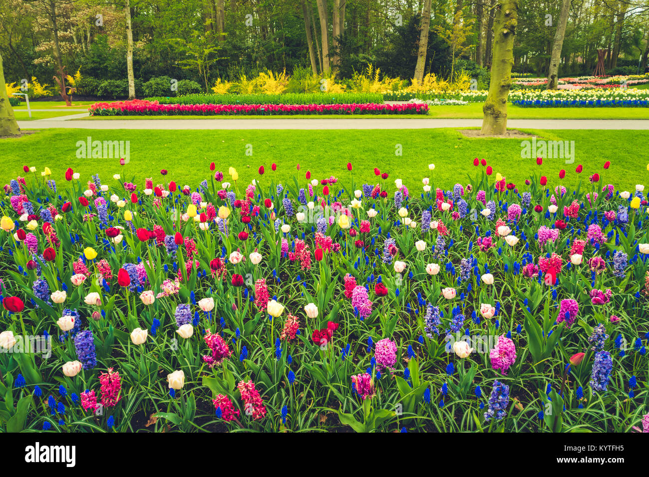 Formal spring garden Stock Photo - Alamy