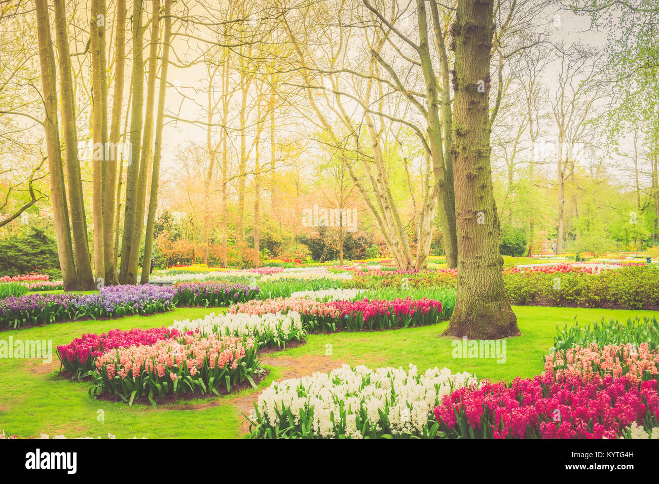 Formal spring garden Stock Photo - Alamy