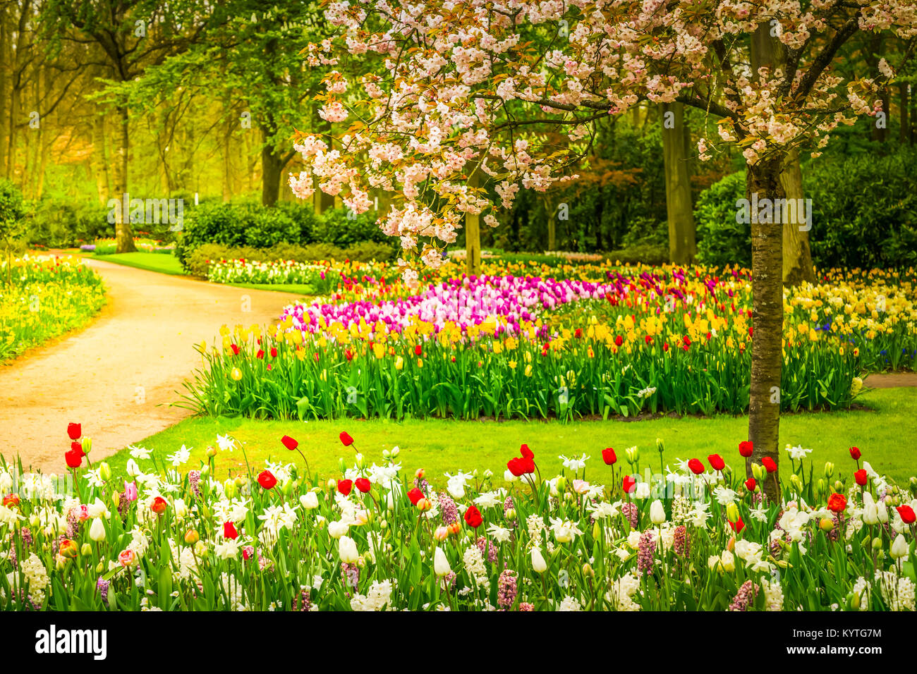 Formal spring garden Stock Photo - Alamy