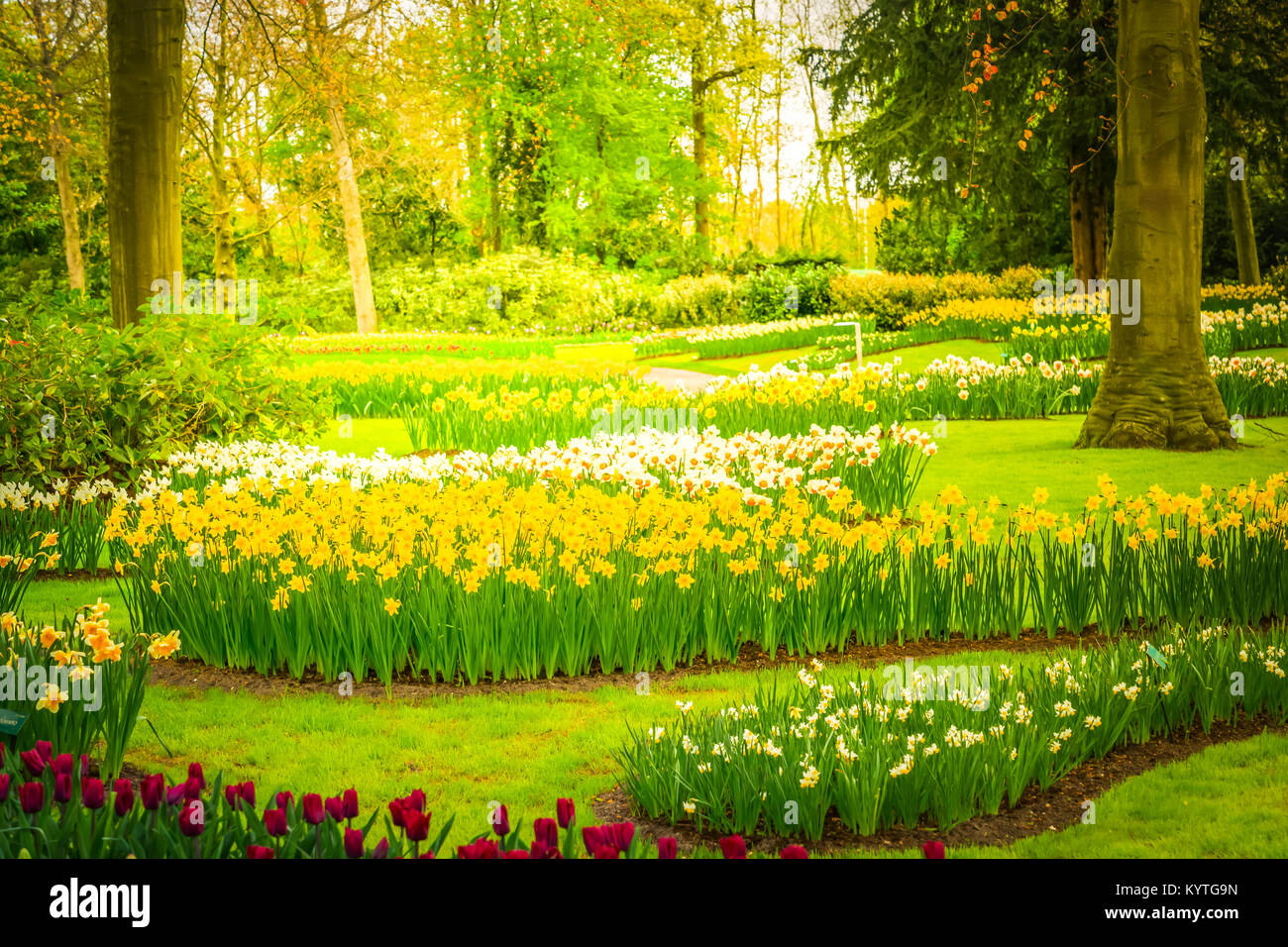 Formal spring garden Stock Photo - Alamy