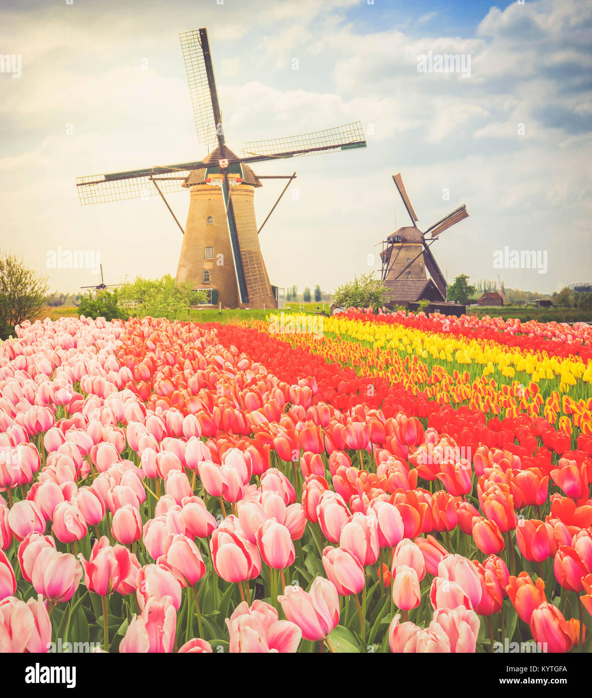 Dutch wind mills Stock Photo - Alamy
