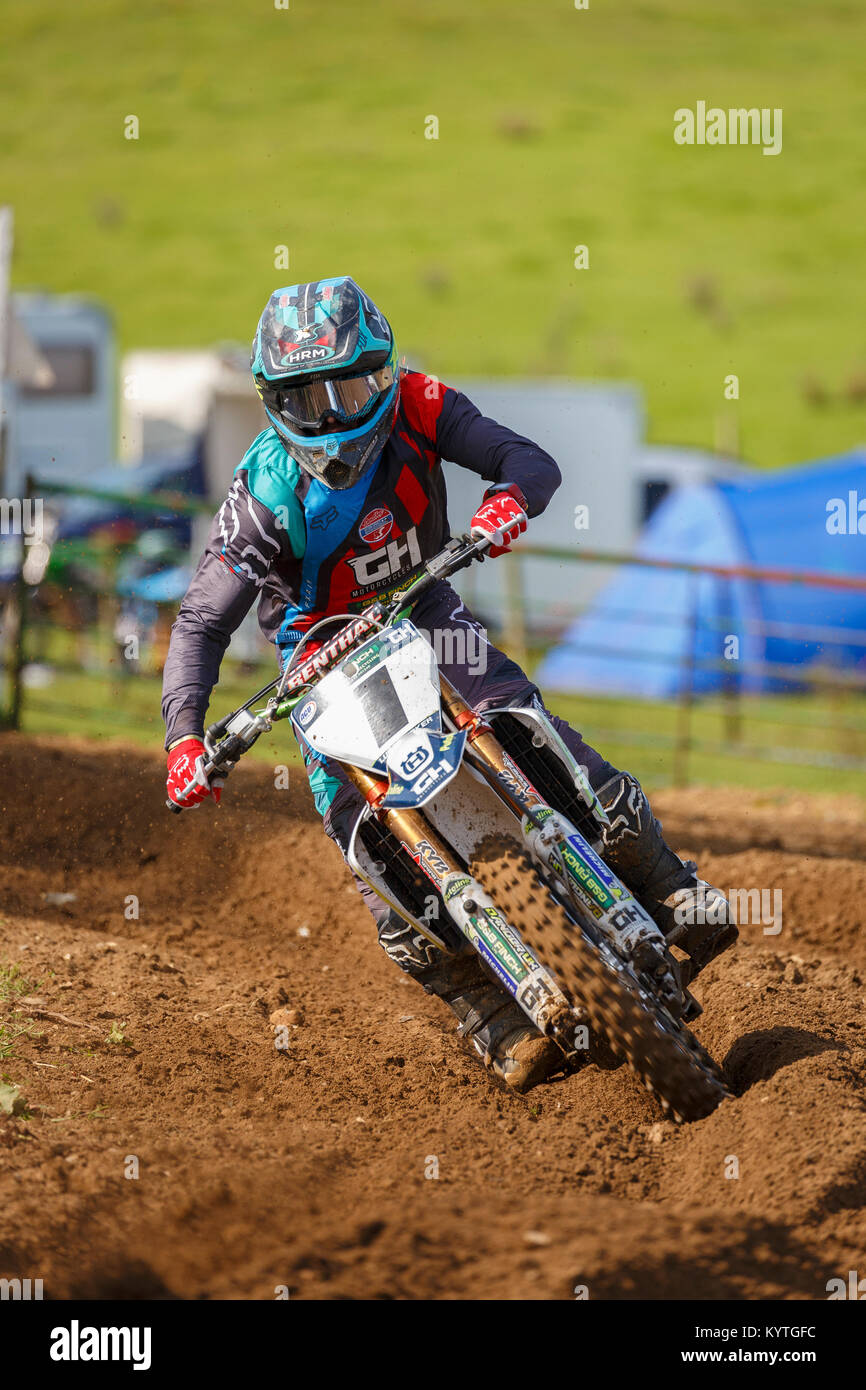 Gh gb finch hi-res stock photography and images - Alamy