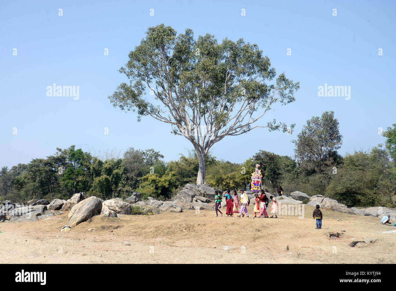 Purulia, India. 16th Jan, 2018. Tribal women bring Tusus idols to ...