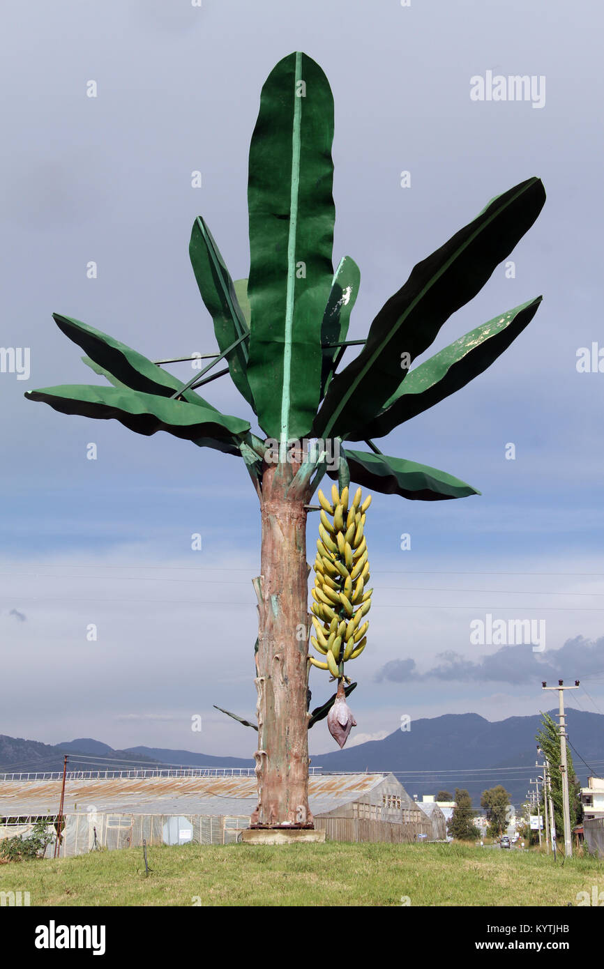 Monument of banana tree in Anamur in Turkey Stock Photo - Alamy