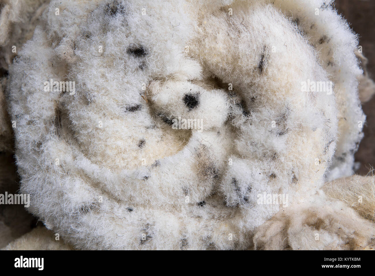 Untreated wool fiber hi-res stock photography and images - Alamy