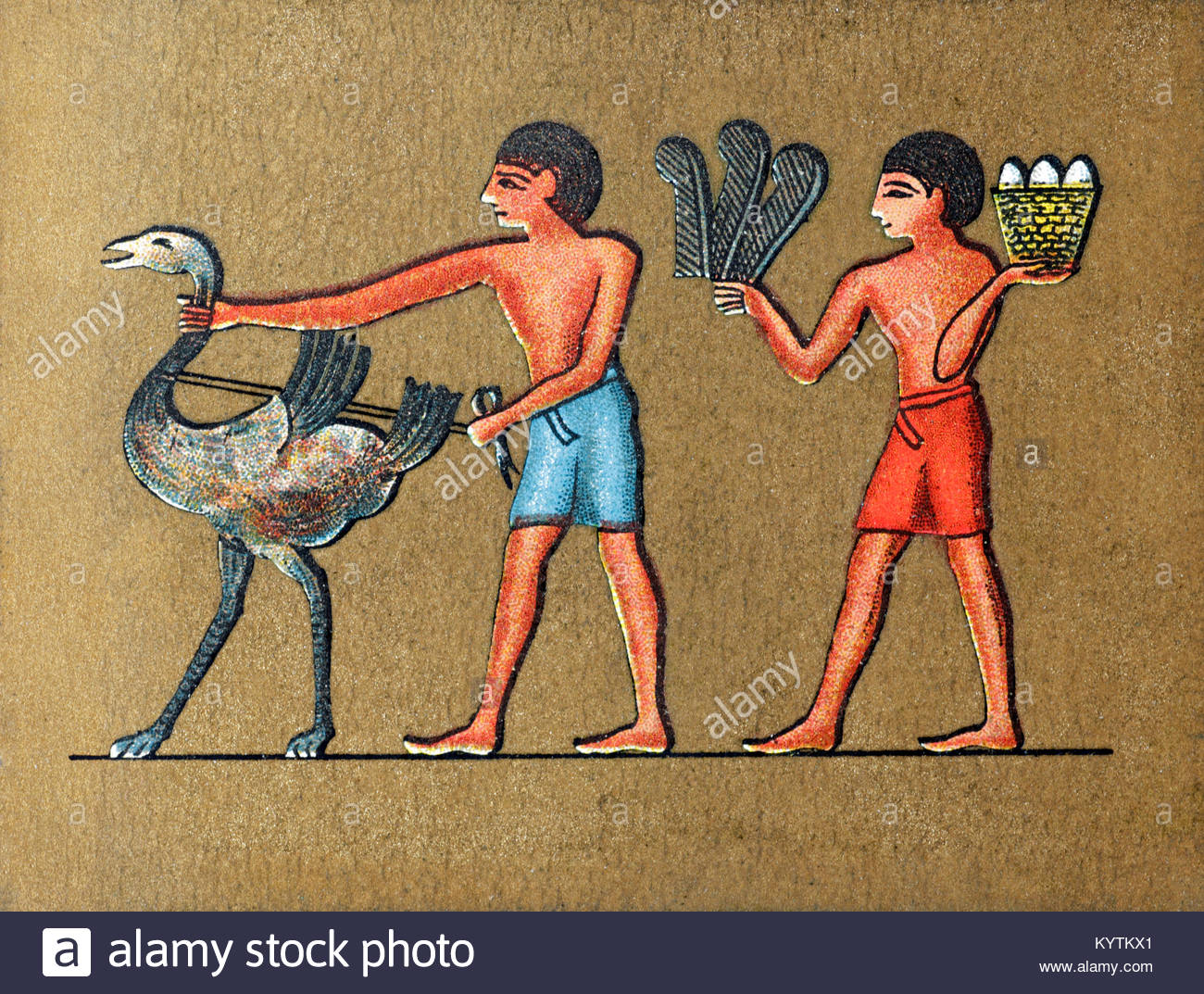 Ancient egyptian farming hi-res stock photography and images - Alamy