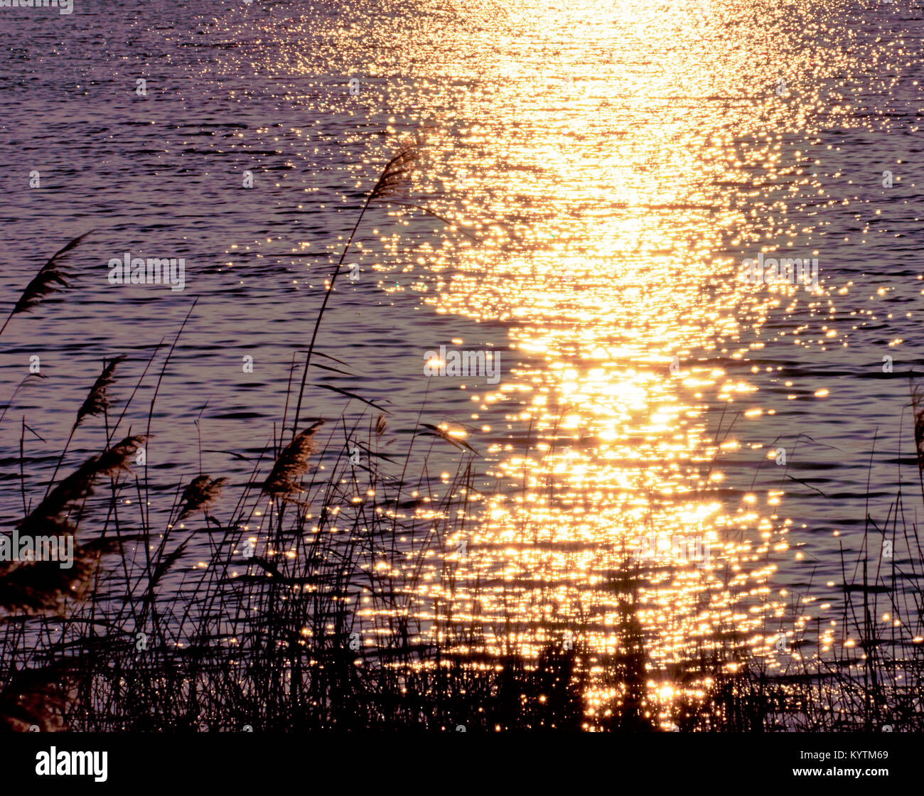 Pond abstract hi-res stock photography and images - Alamy