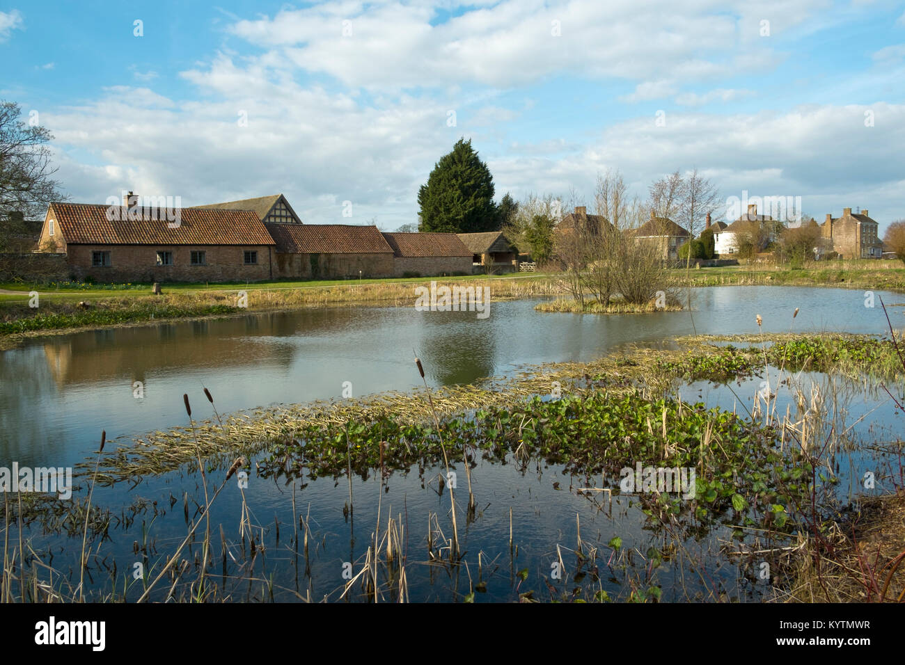 The village green, reputedly the longest in England, in spring sunshine ...