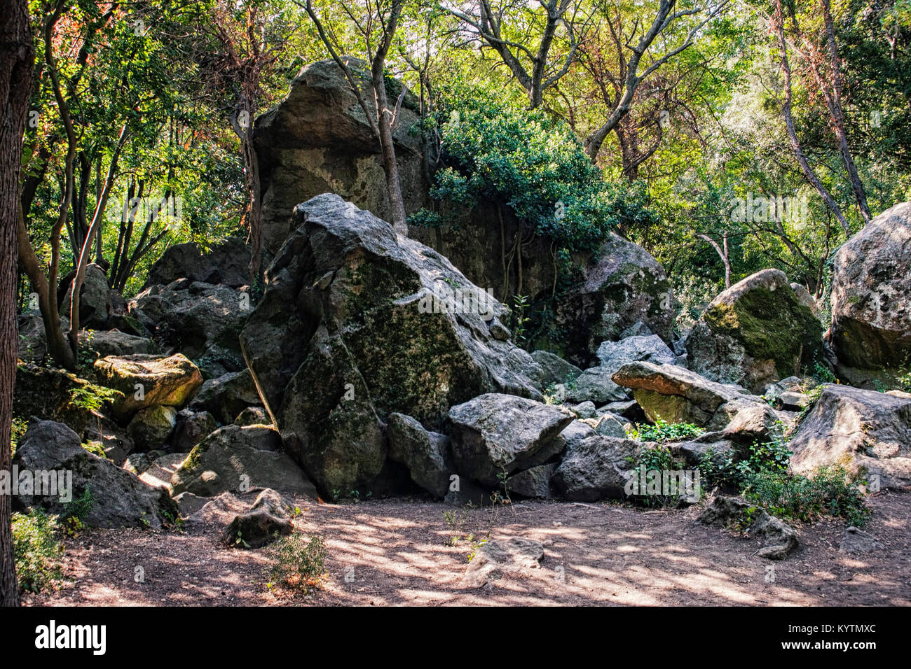 Rock overgrown hi-res stock photography and images - Alamy