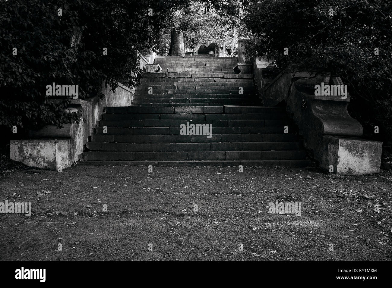 Broken stone pathway hi-res stock photography and images - Alamy