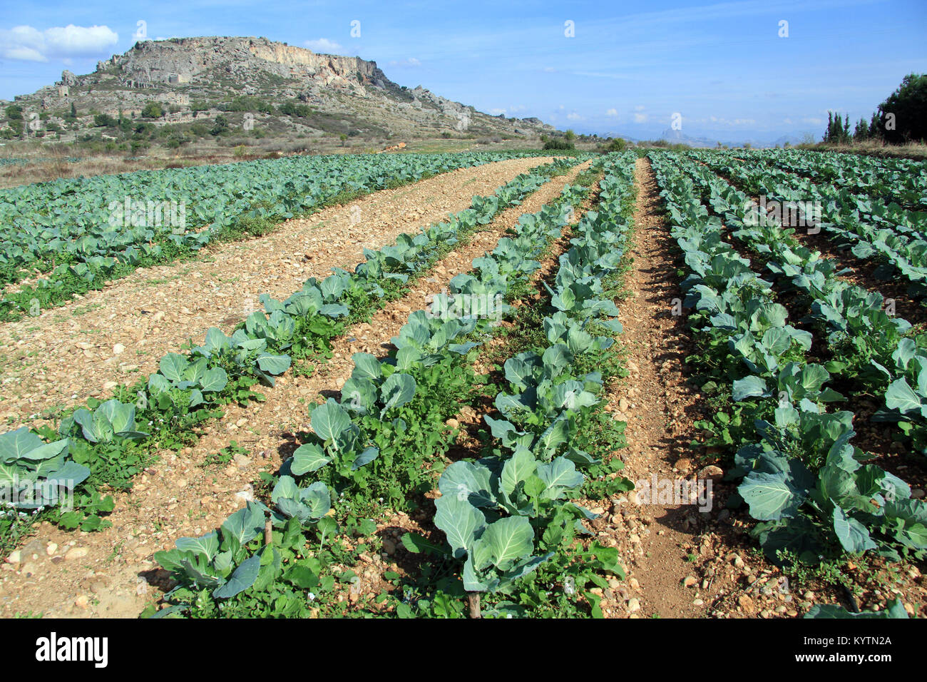 Silyon High Resolution Stock Photography and Images - Alamy