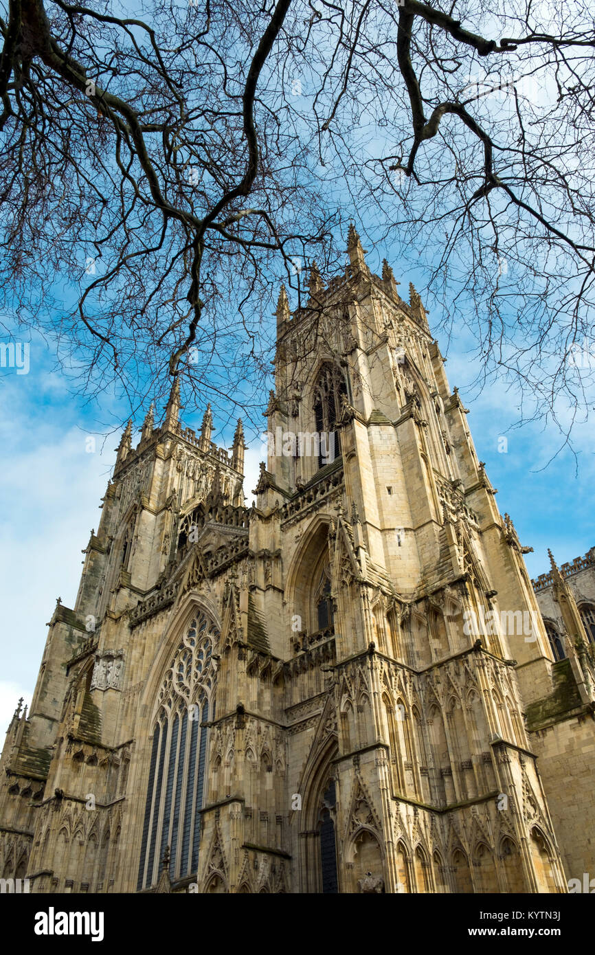 York Minster in early spring sunshine, City of York, UK Stock Photo - Alamy
