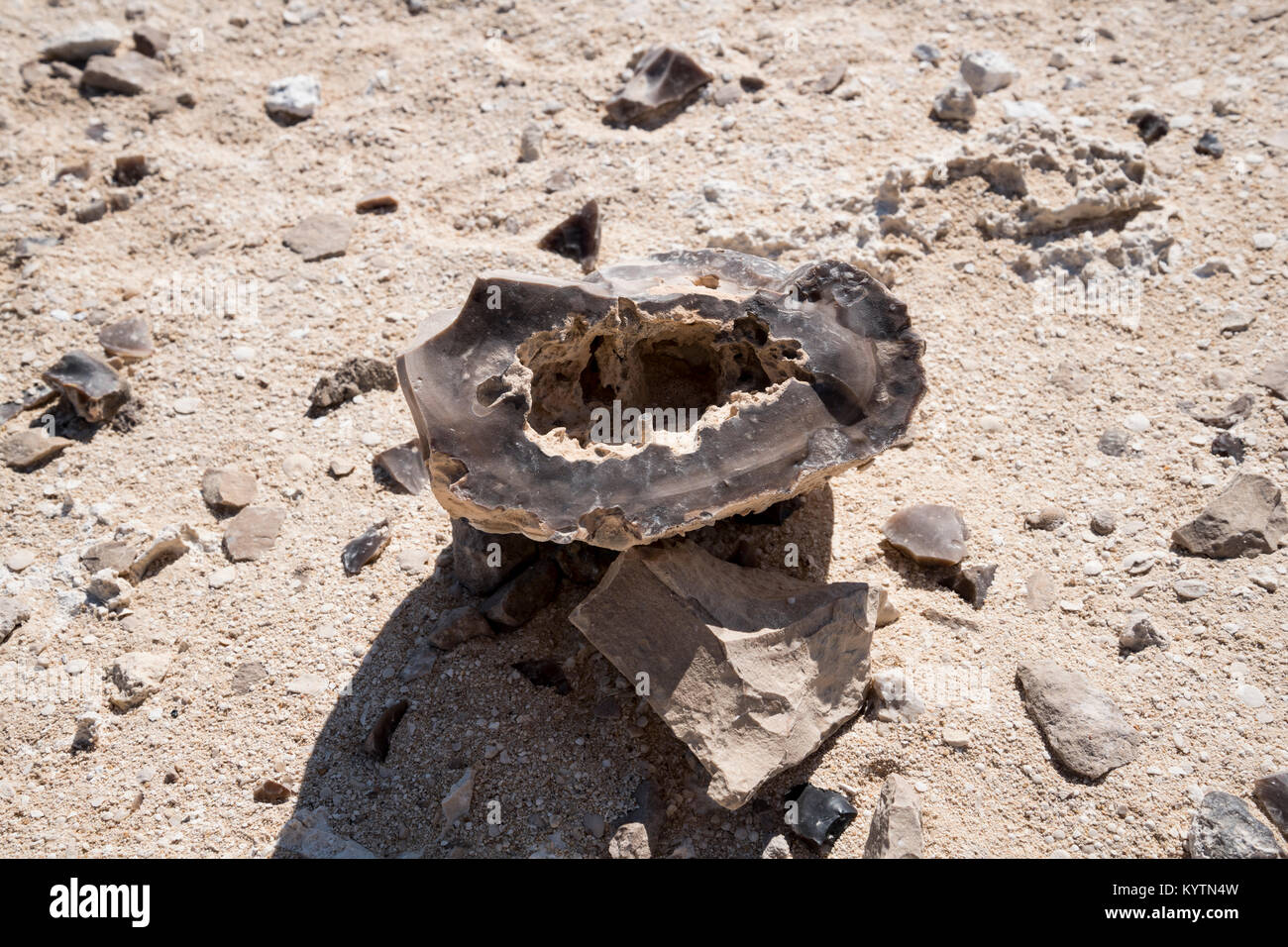 Rock Garden (Rock Zoo of Duqm or Duqm Stone Park) is a famous tourist ...