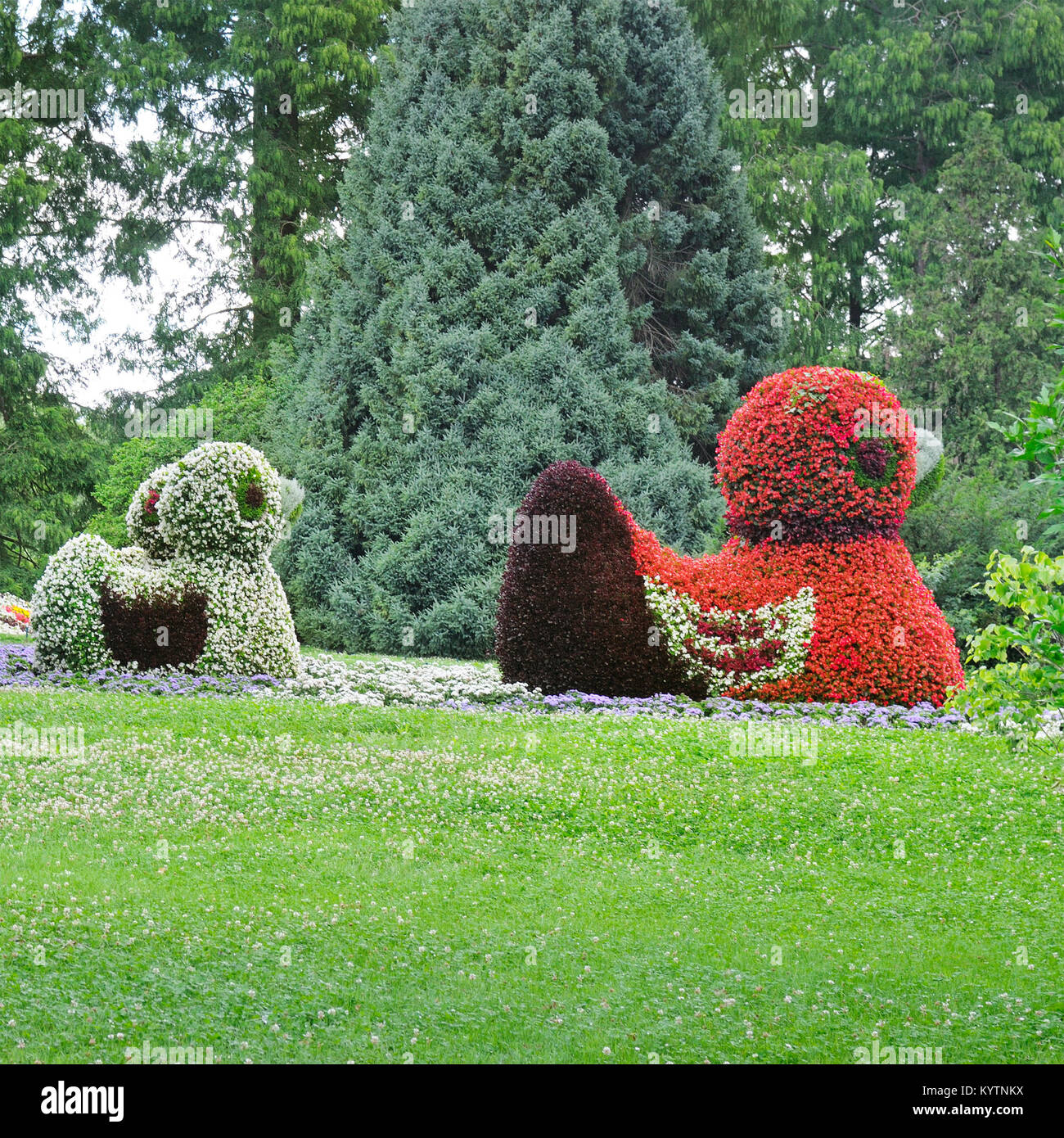 flower bed in the form of ducks in the park Mainau Germany Stock Photo ...