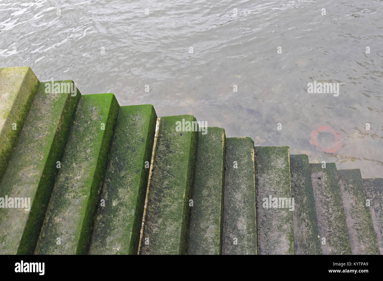 Stairs into Water Covered With Green Algae Stock Photo - Alamy
