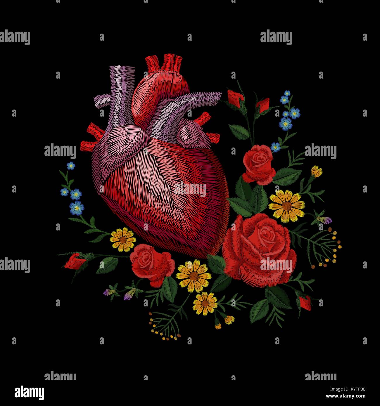 Anatomical heart illustration hi-res stock photography and images - Alamy