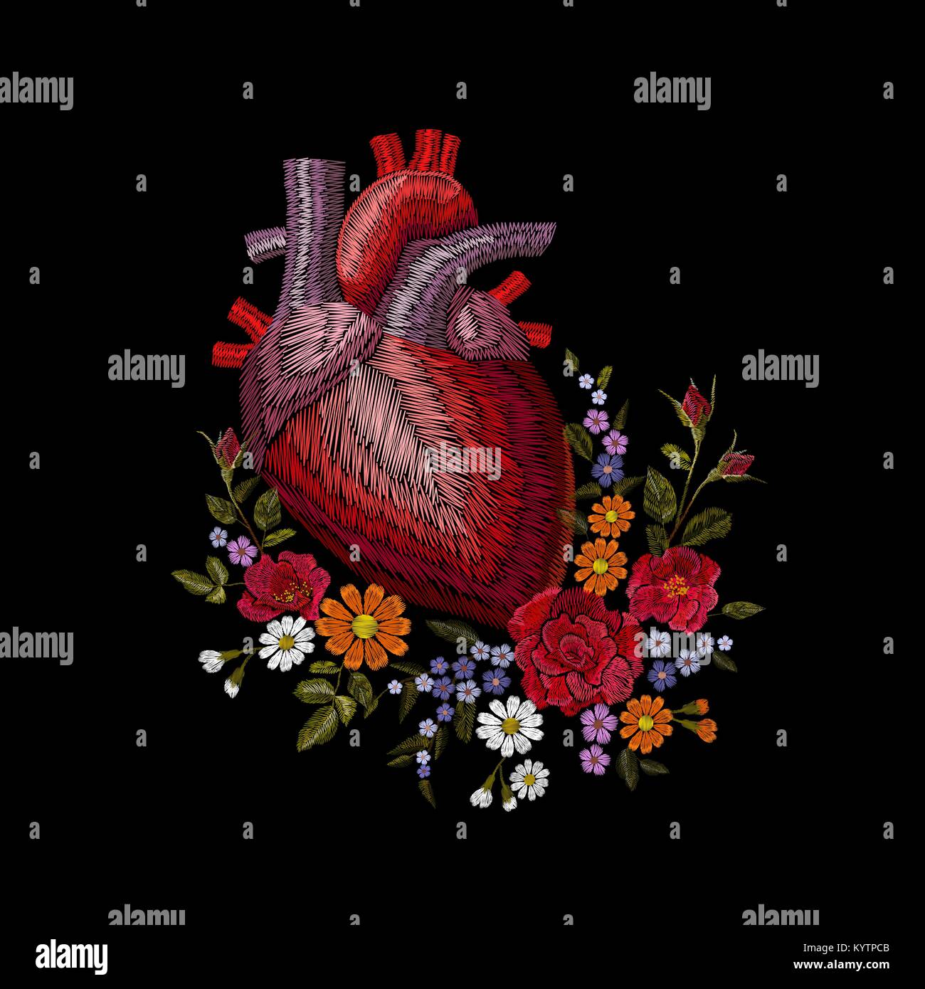Anatomical heart illustration hi-res stock photography and images - Alamy