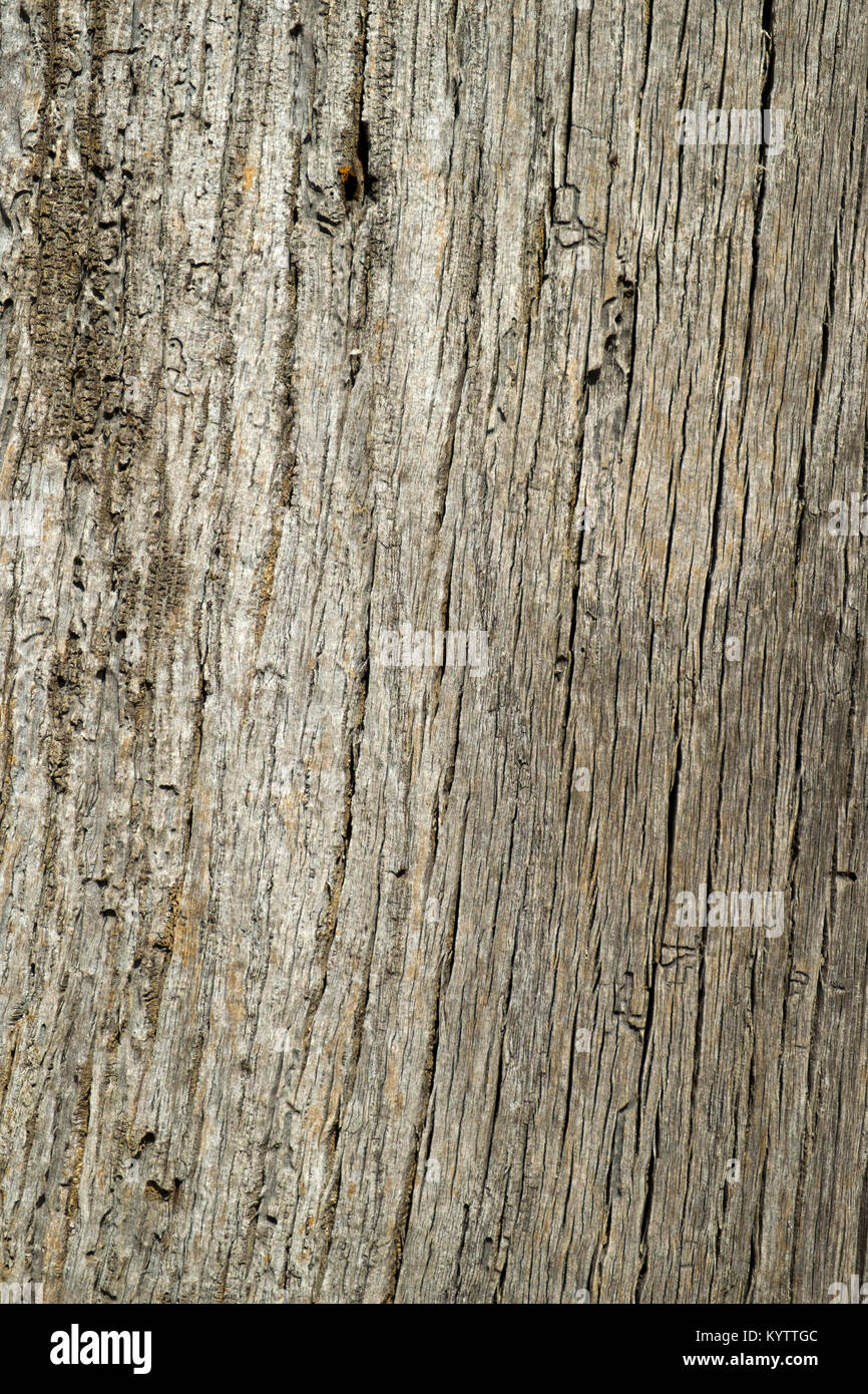 Old untreated construction wood beam full frame background texture ...