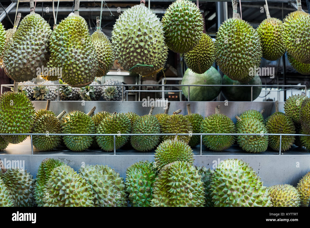 Fresh Asian Durian on hanging on display for sale at a vendors street ...