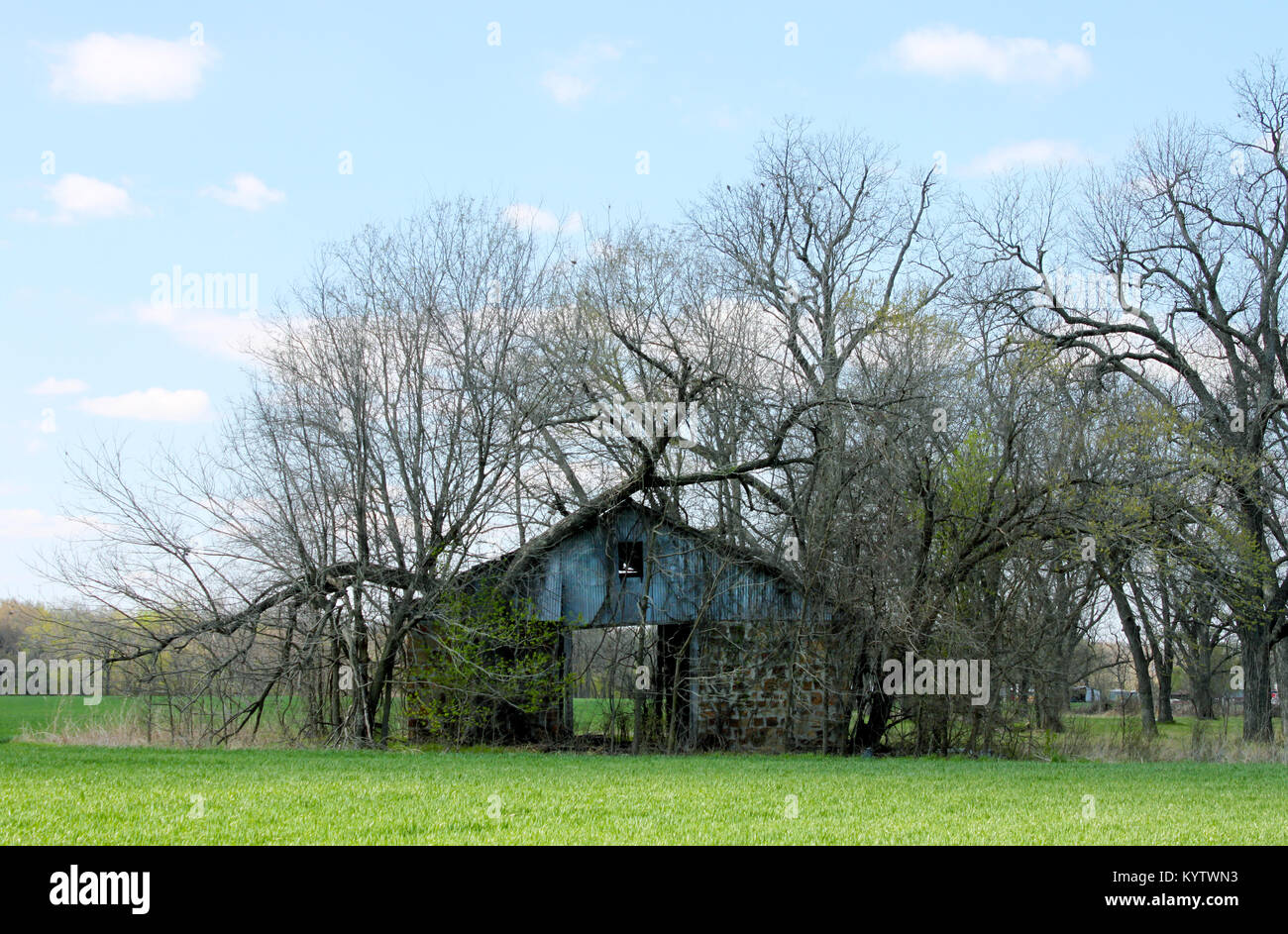 Overgrown building hi-res stock photography and images - Alamy