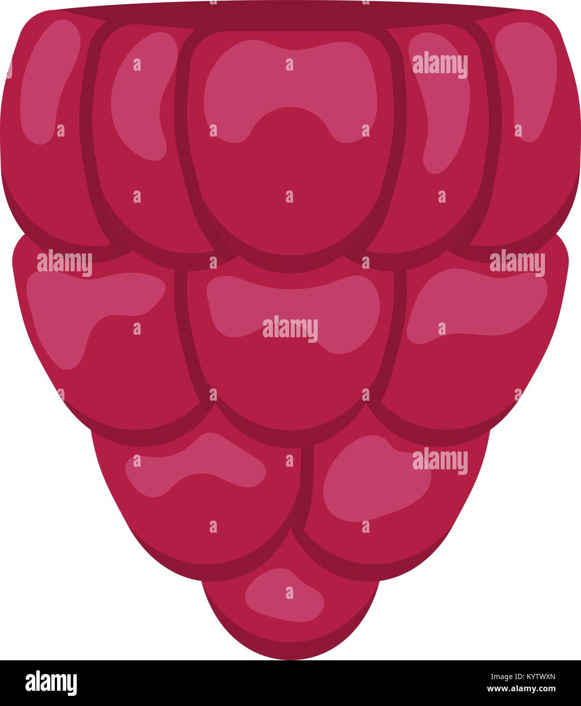 Flat design icon of Raspberry in ui colors. Vector illustration Stock ...