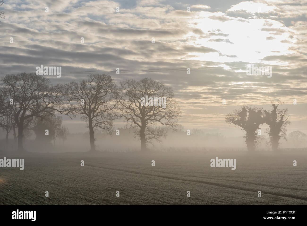 Sunrise on a cold frosty morning with a mist on the ground Stock Photo ...