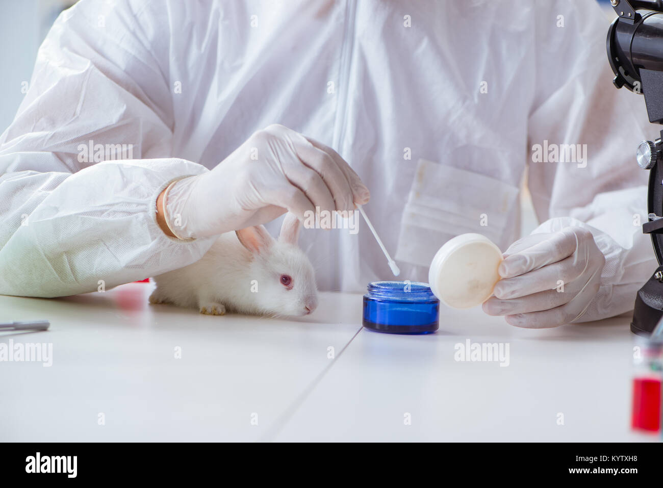 White rabbit in scientific lab experiment Stock Photo - Alamy