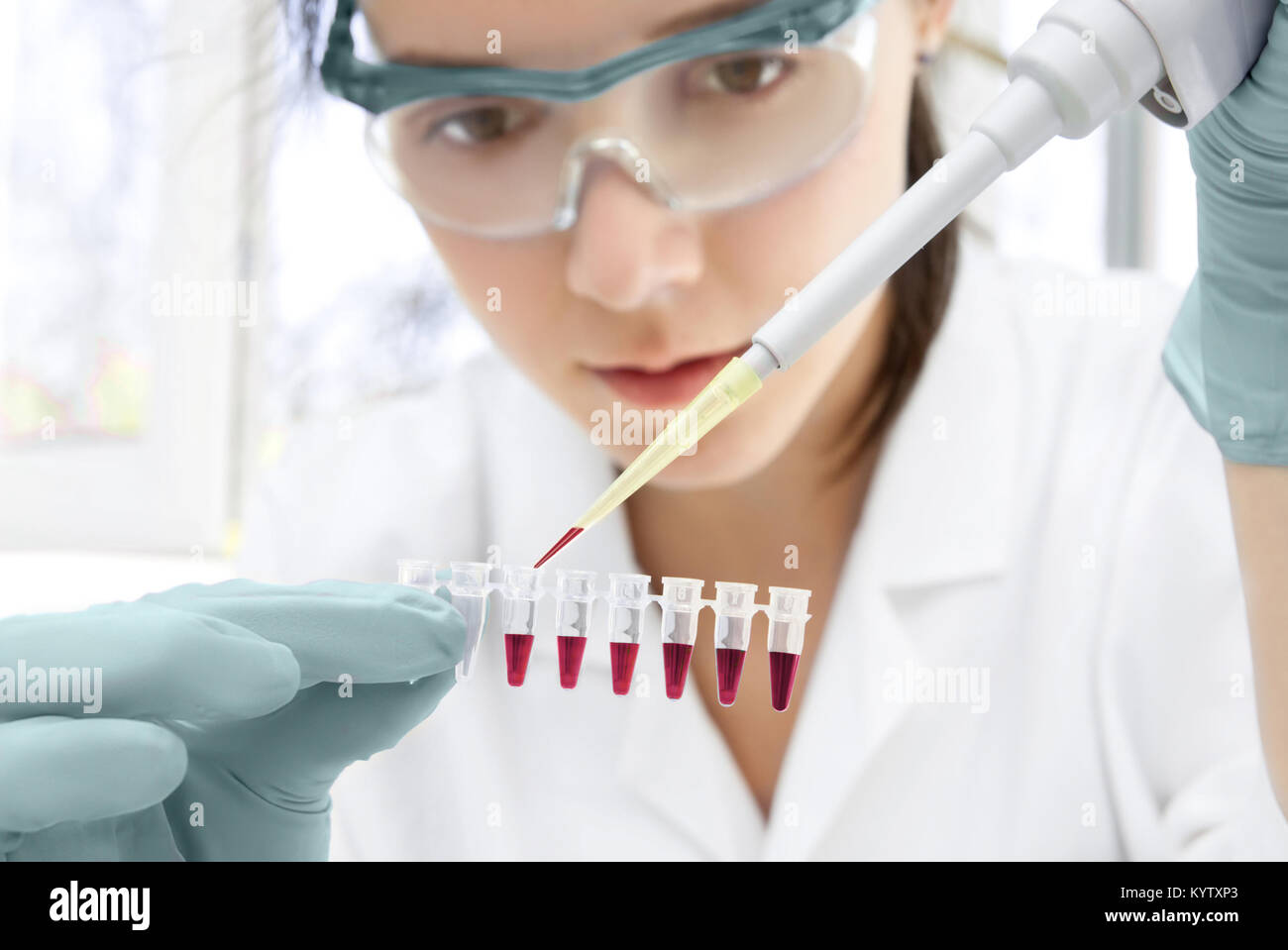 Young female scientist loads samples for DNA amplification by PCR into ...
