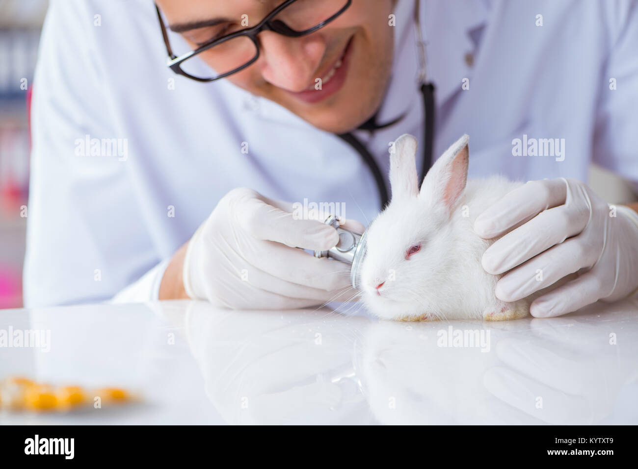 Vet doctor examining rabbit in pet hospital Stock Photo - Alamy