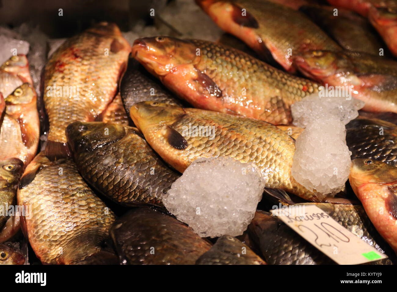 Latvian fish hi-res stock photography and images - Alamy