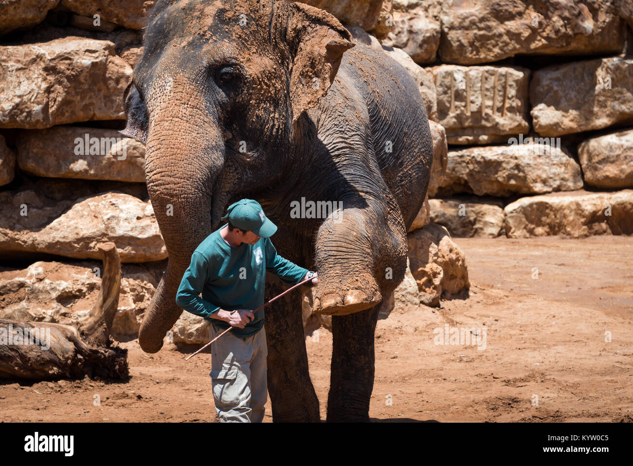 Visiting Jerusalem Biblical Zoo, Israel Stock Photo - Alamy