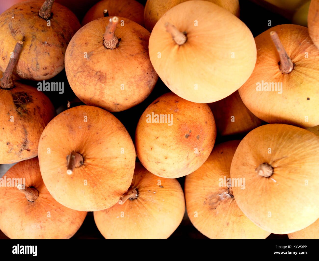 Santol fruit hi-res stock photography and images - Alamy