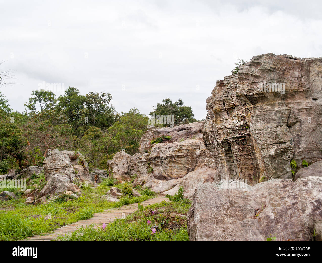 Backdrop of textured rocks hi-res stock photography and images - Alamy