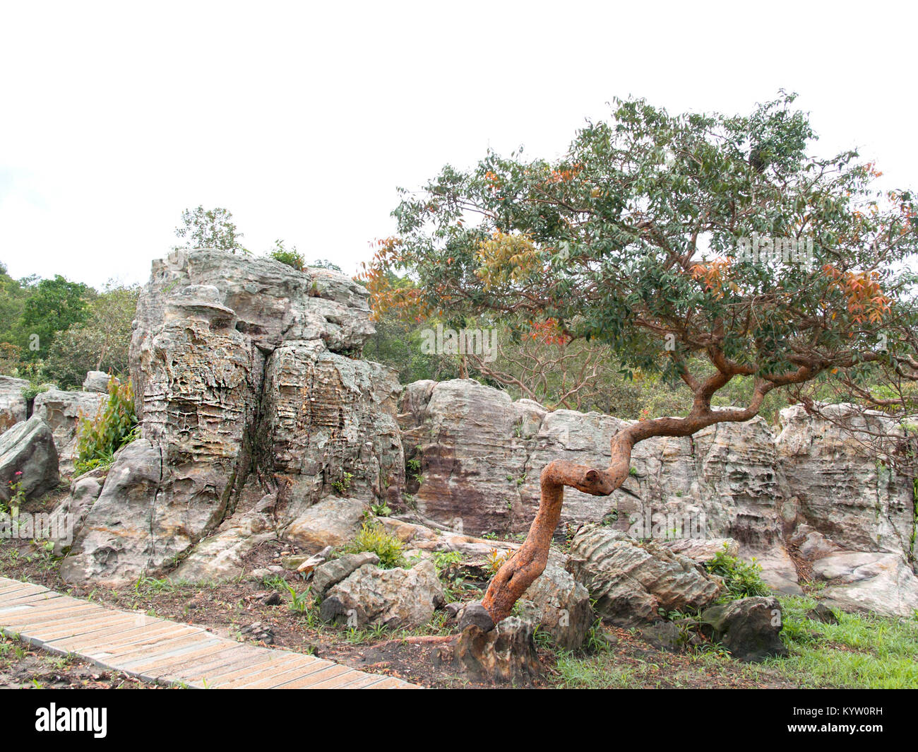 Rock face backdrop hi-res stock photography and images - Alamy