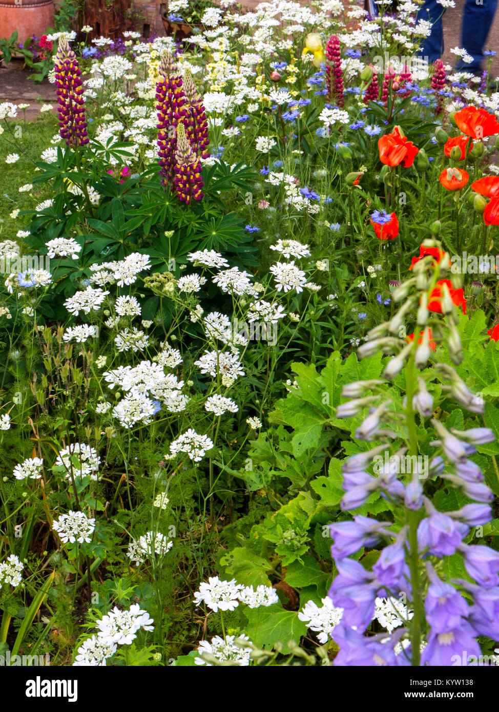Cottage garden border hi-res stock photography and images - Alamy