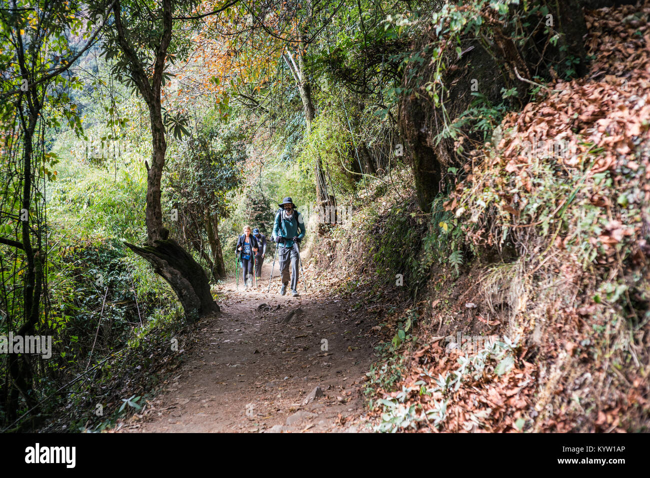 tourists on the ABC trek, Annapurna Base Camp in Nepal, Asia Stock ...