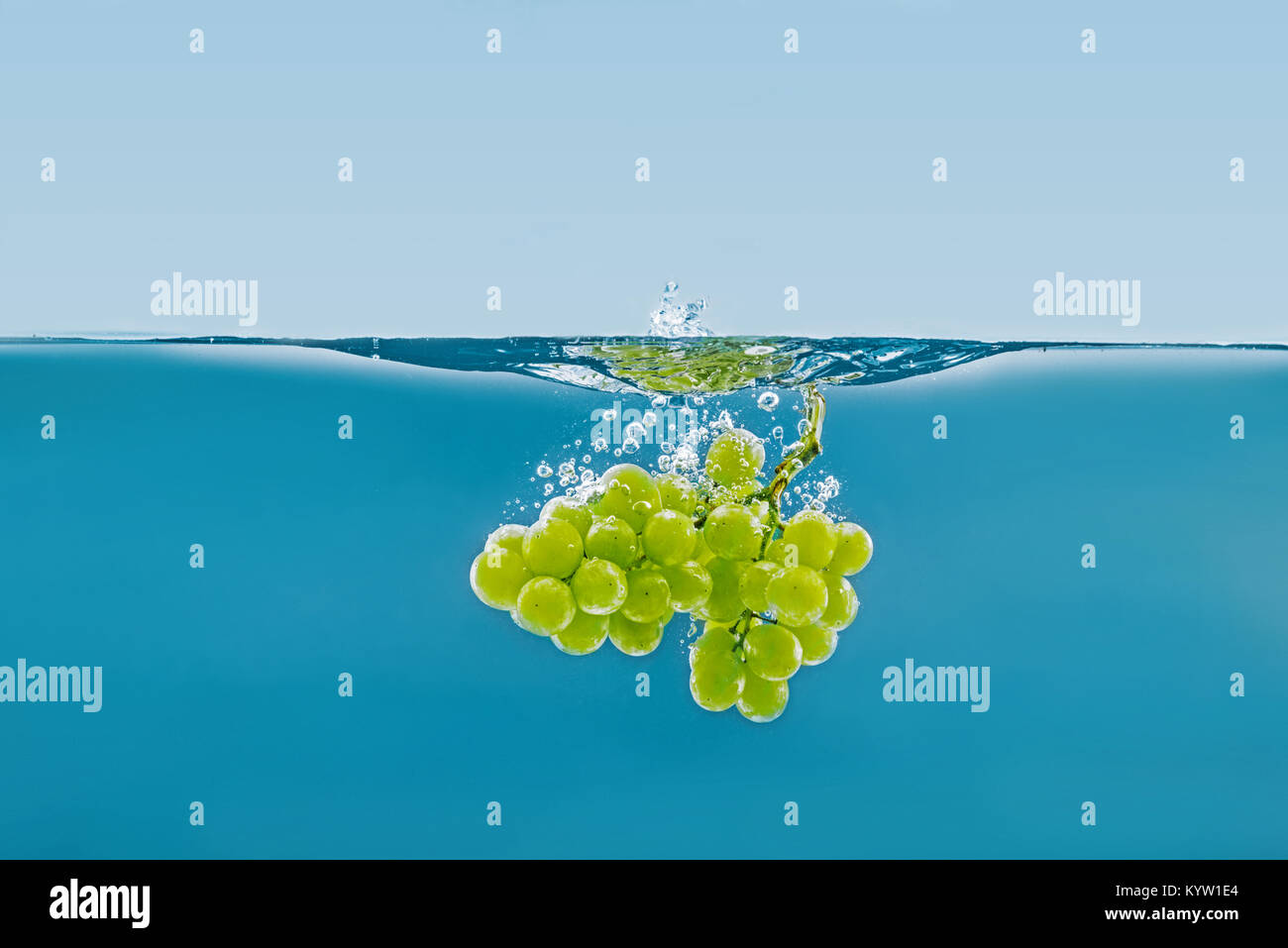 side view of branch of ripe green grapes falling into water with ...