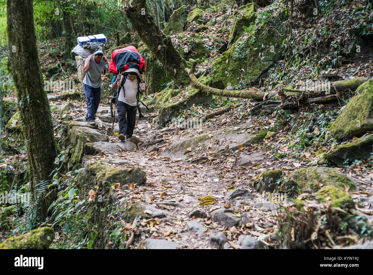 Sherpa porter trekking nepal hi-res stock photography and images - Alamy
