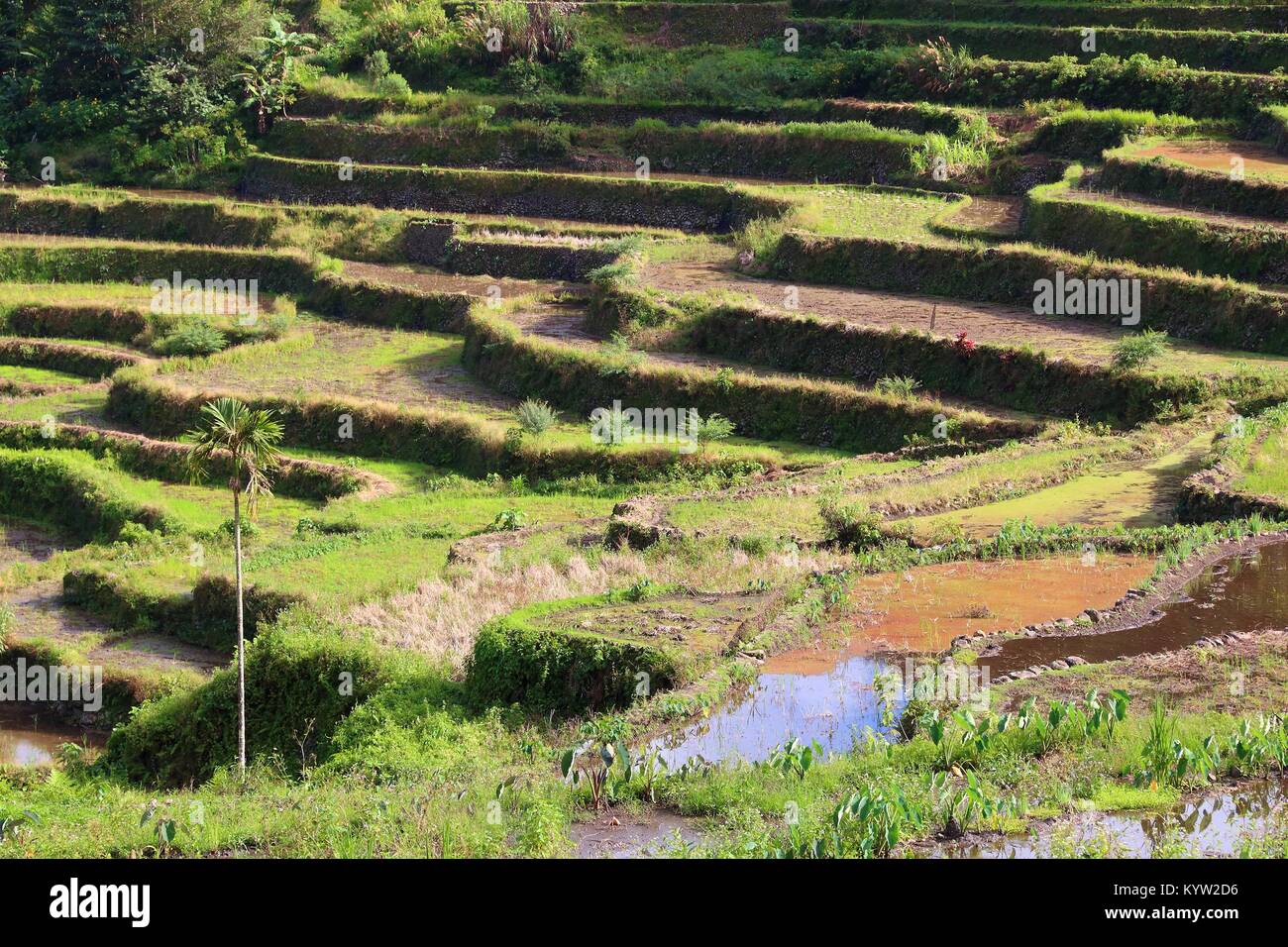 Philippine village hi-res stock photography and images - Alamy