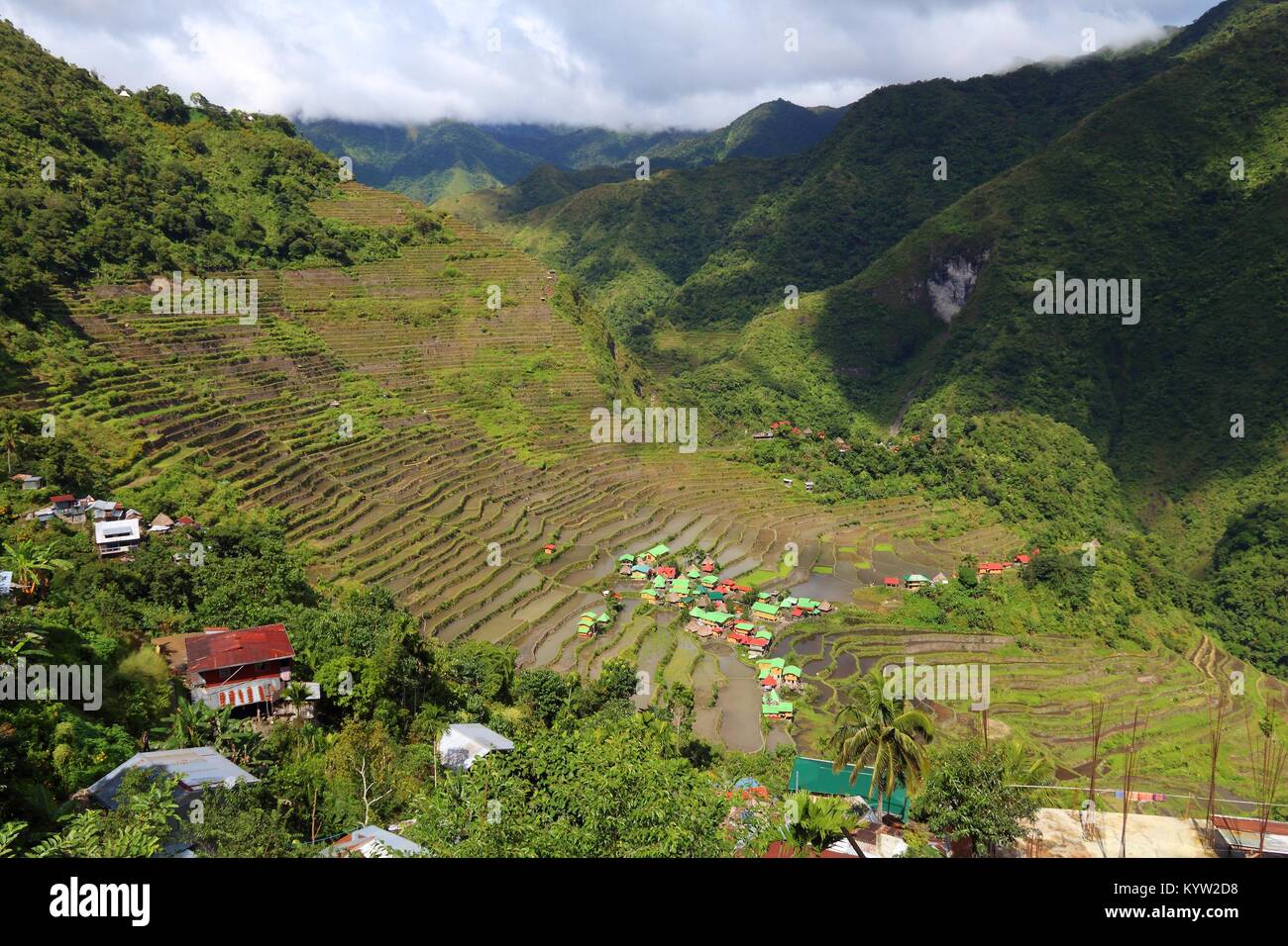 Philippines rice terraces - rice cultivation in Batad village (Banaue ...