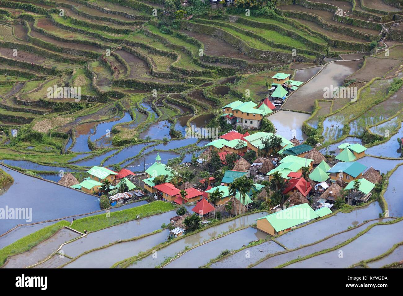 Philippines rice terraces - rice cultivation in Batad village (Banaue ...