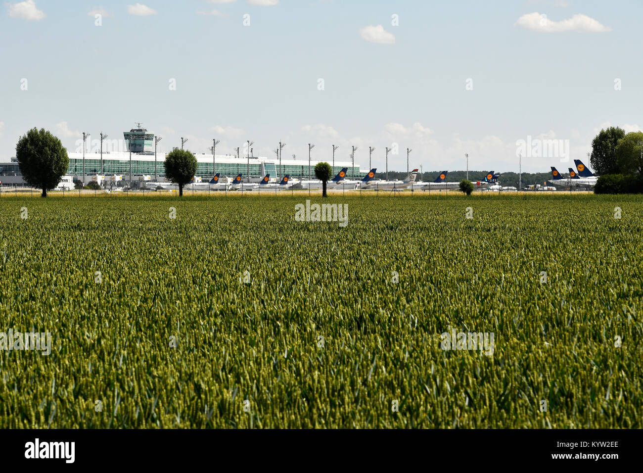 Field, airport area, satellite building, Grass, Weed, Munich Airport ...