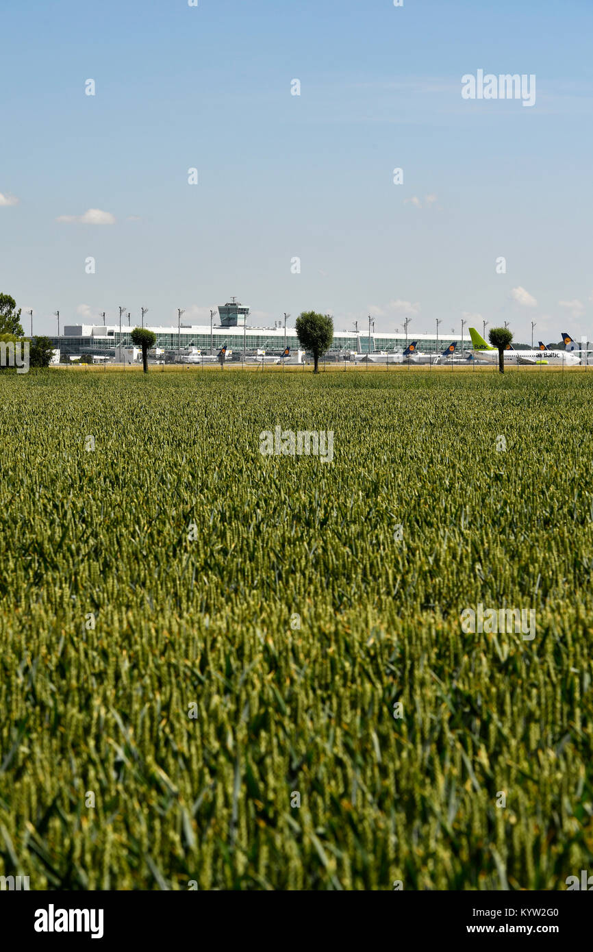 Field, airport area, satellite building, Grass, Weed, Munich Airport ...