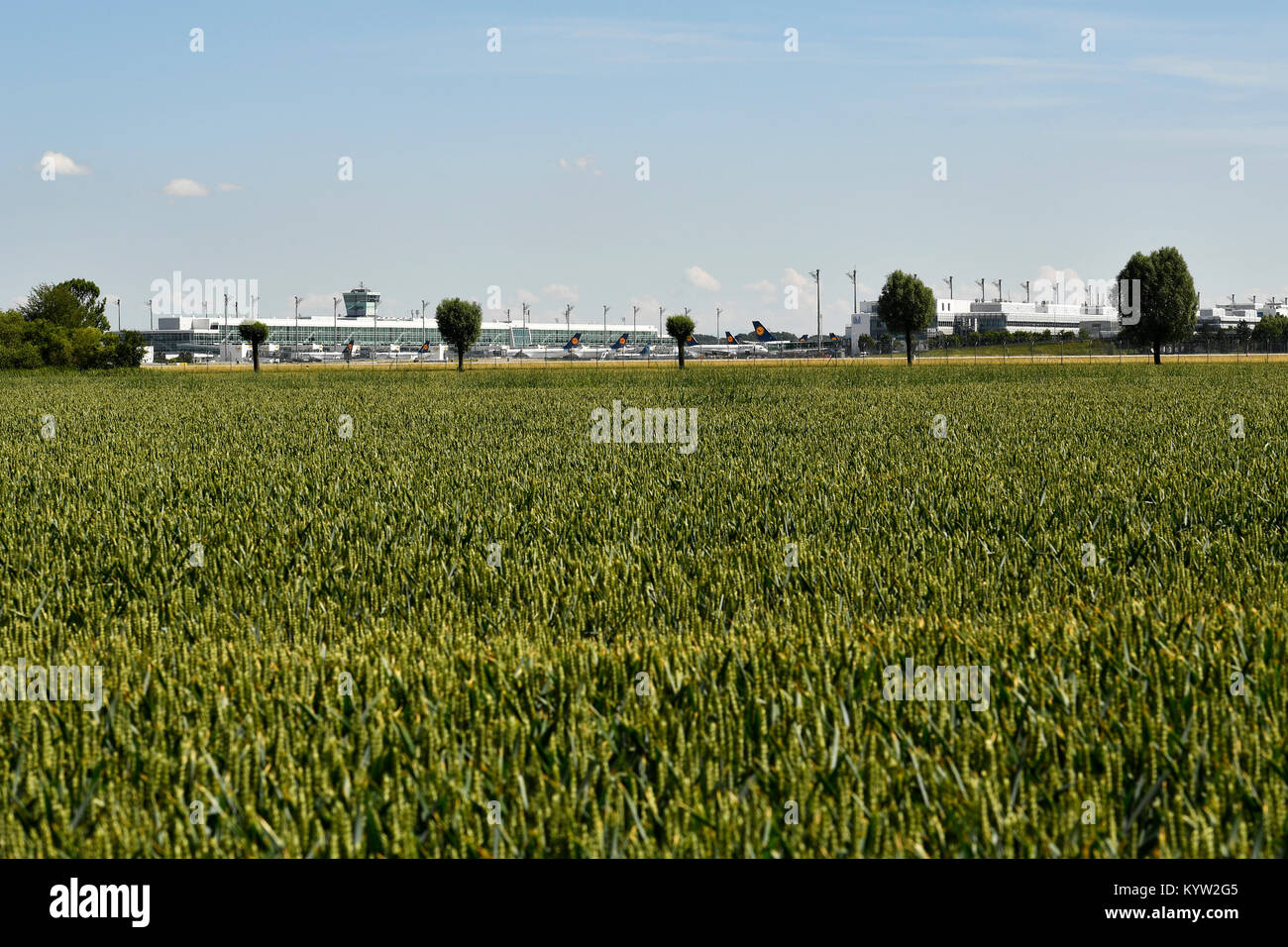 Field, airport area, satellite building, Grass, Weed, Munich Airport ...